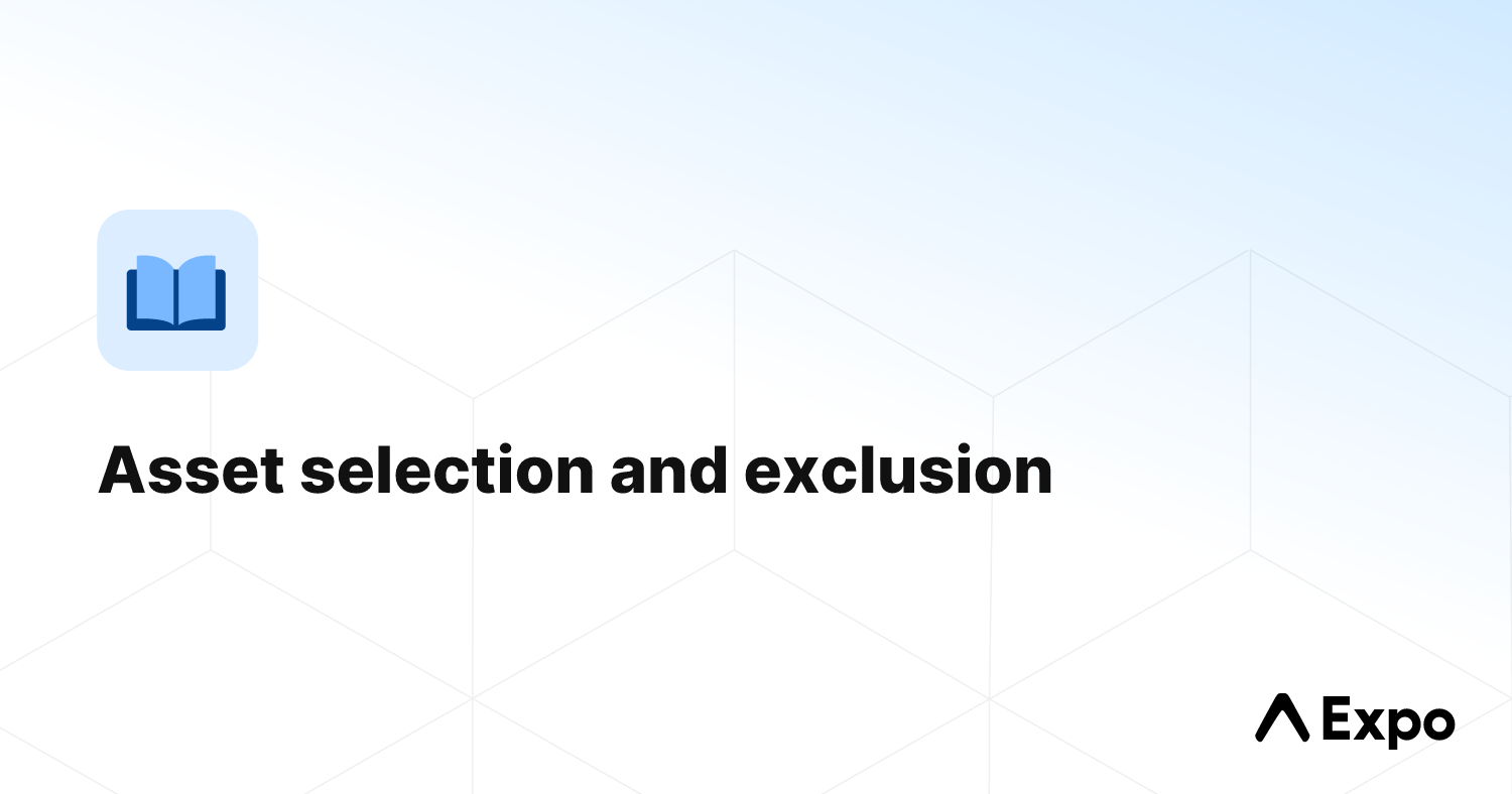 Asset Selection And Exclusion Expo Documentation